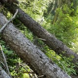 Stiletto Lake via Twisp Pass Trail, Washington - 25 Reviews, Map ...