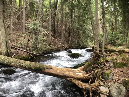 Best Forest Trails in Ronan | AllTrails