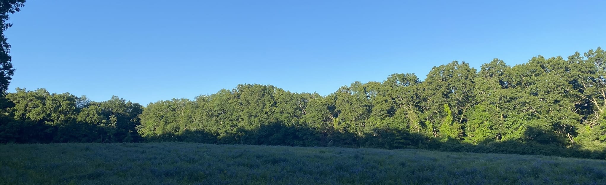 Shepaug River Trail : 36 Reviews, Map - Connecticut | AllTrails