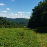 Neversink Mountain Loop, Pennsylvania - 133 Reviews, Map | AllTrails