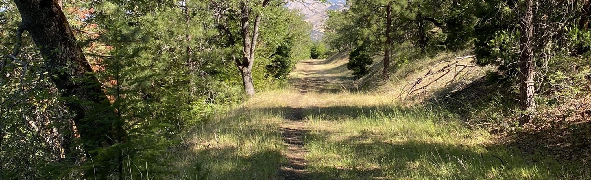 Buck Rock Tunnels Loop Trail, Oregon - 51 Reviews, Map | AllTrails