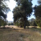 Barker Valley Spur Trail, California - 137 Reviews, Map | AllTrails