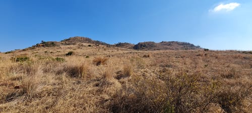 Best Hikes and Trails in Suikerbosrand Nature Reserve | AllTrails