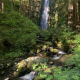 Tarbell Trail Hidden Falls , Washington - 110 Reviews, Map | AllTrails