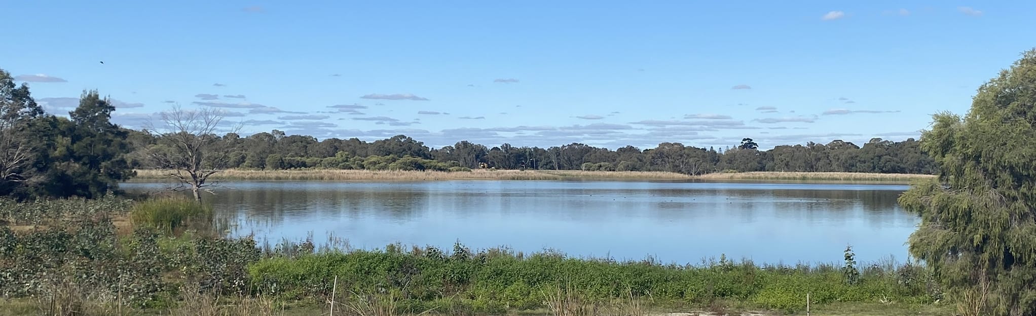 Lake Gwelup Extended Loop: 45 foto's - West-Australië, Australië ...