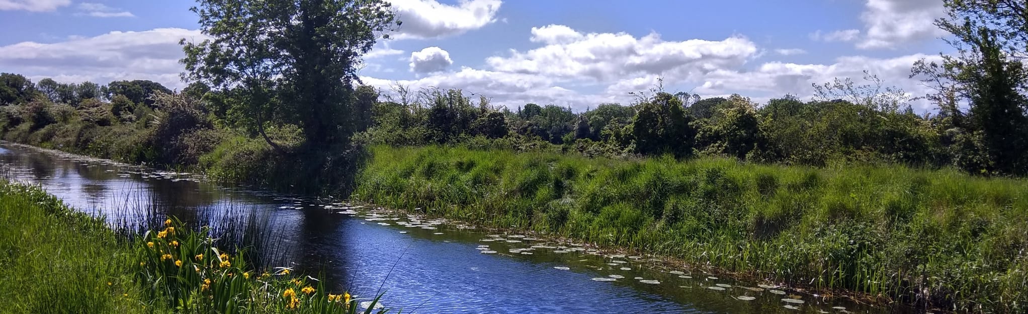 National Famine Way: 8 Reviews, Map - County Roscommon, Ireland | AllTrails