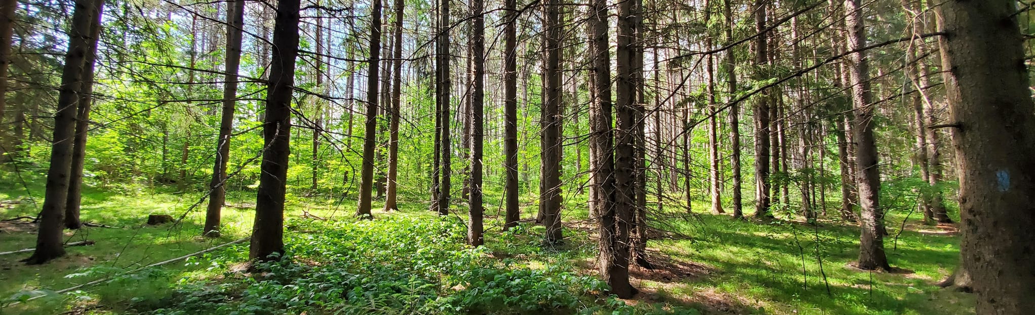 Alton Grange Trail | Map, Guide - Ontario, Canada | AllTrails