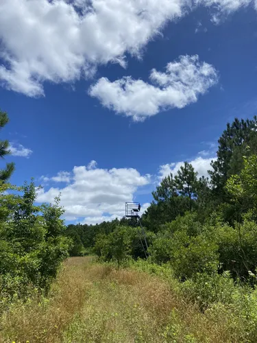 Best Hikes and Trails in Kiptopeke State Park | AllTrails