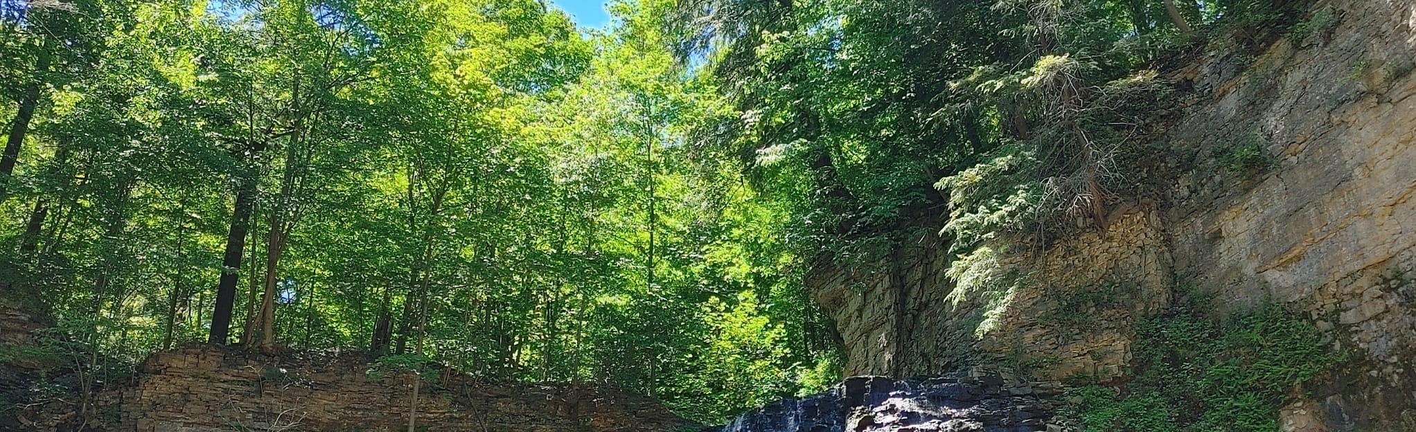 Tiffany and Shaver Falls, 720 Photos - Ontario, Canada | AllTrails
