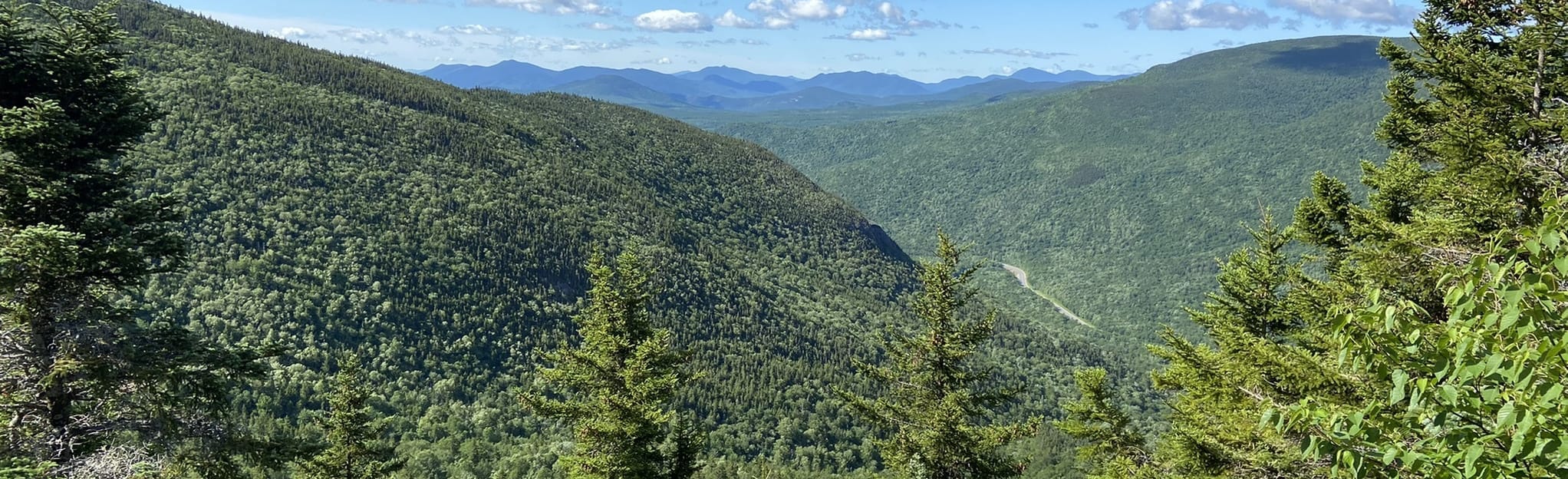 Wildcat D via Wildcat Ridge Trail: 211 Reviews, Map - New Hampshire ...