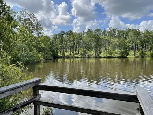 Best Camping Trails in Chipley | AllTrails