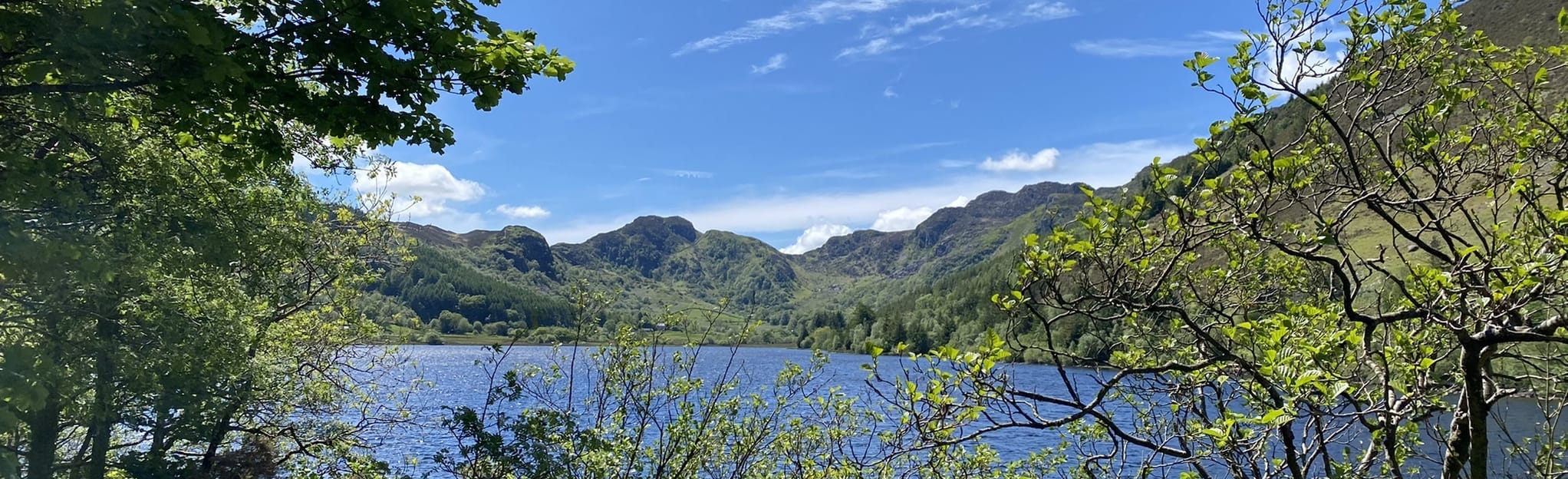 Llyn Crafnant Circular, Conwy, Wales - 125 Reviews, Map | AllTrails