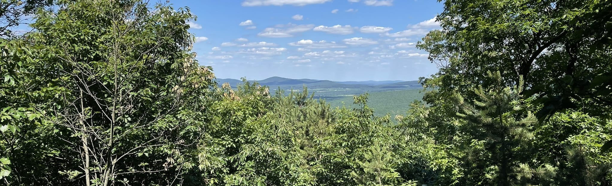 Vista Loop via Bong Trail, Pennsylvania - 180 Reviews, Map | AllTrails