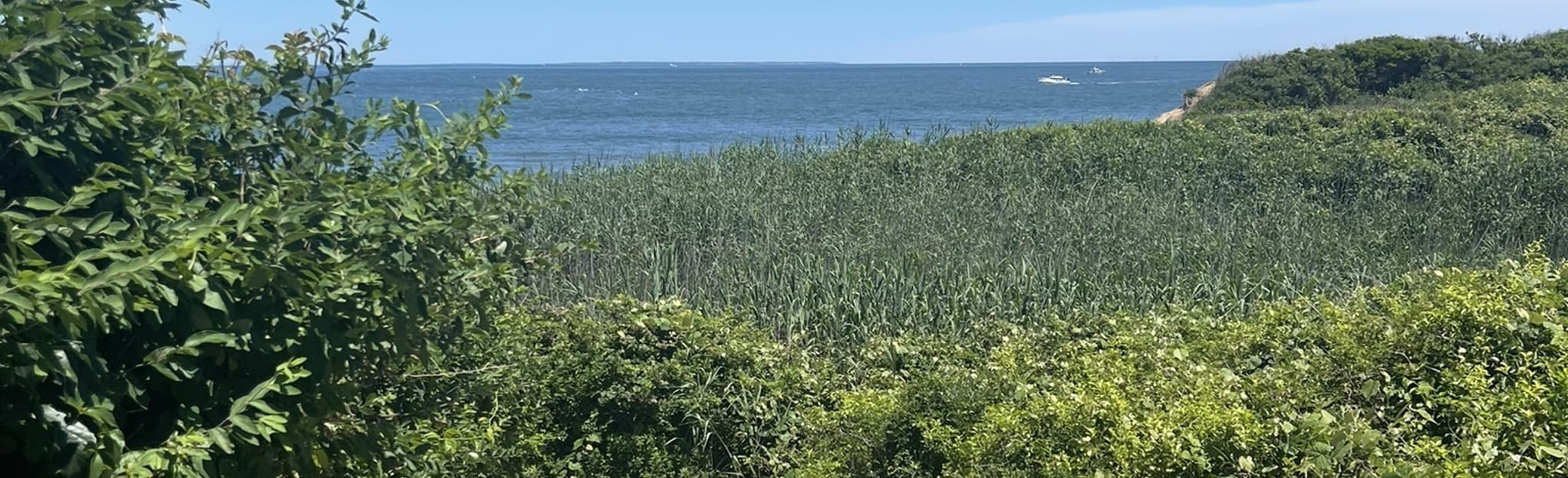 Montauk Point Beach Trail, New York - 58 Reviews, Map | AllTrails