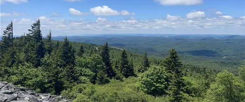 Best Hikes and Trails in Spruce Knob-Seneca Rocks National Recreation ...