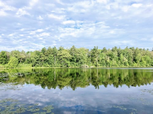 2023 Best Forest Trails in Pinehurst Lake Conservation Area | AllTrails