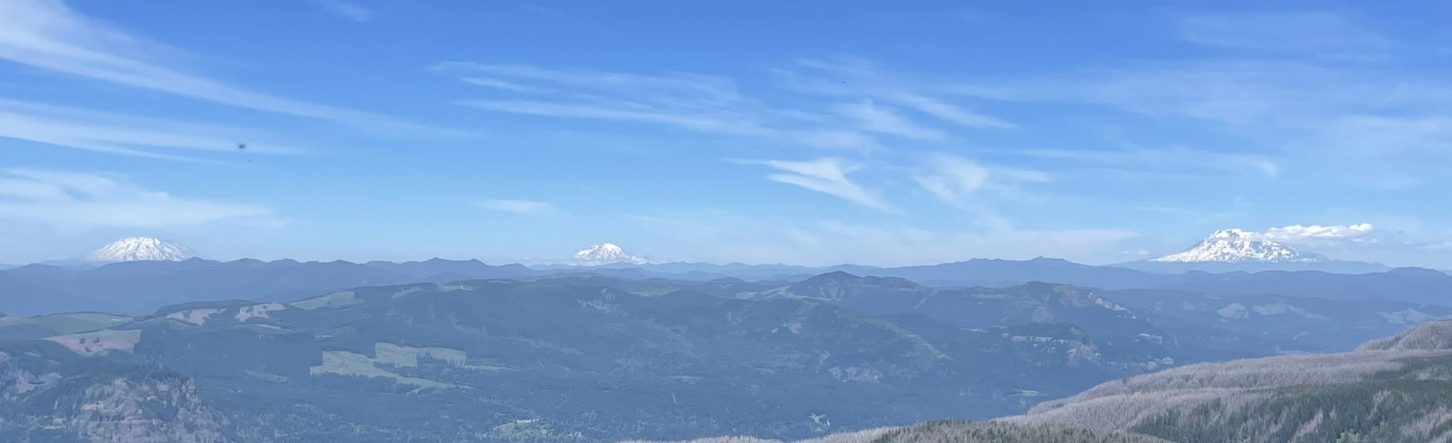 Sherrard Point via Larch Mountain Trail | Map, Guide - Oregon | AllTrails