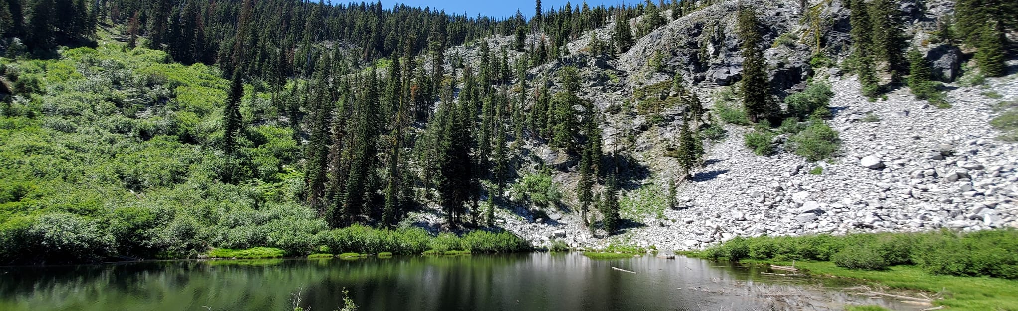 Adams Lake Trail: 5 Reviews, Map - California | AllTrails