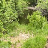 Blacksmith Canyon Left Hand Fork Trail, Utah - 50 Reviews, Map | AllTrails