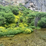 Blacksmith Canyon Left Hand Fork Trail, Utah - 50 Reviews, Map | AllTrails