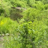 Blacksmith Canyon Left Hand Fork Trail, Utah - 50 Reviews, Map | AllTrails