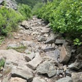 Blacksmith Canyon Left Hand Fork Trail, Utah - 50 Reviews, Map | AllTrails