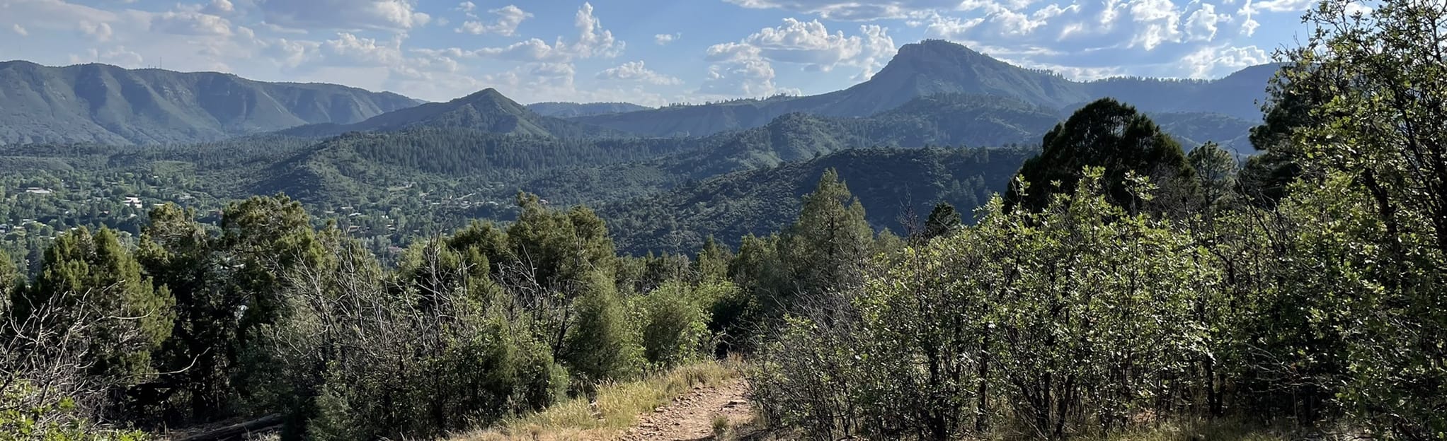 Animas Mountain Outer Loop, Colorado - 323 Reviews, Map | AllTrails