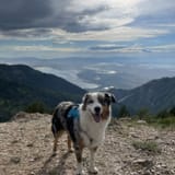 Inspiration Point OHV Route, Utah - 171 Reviews, Map | AllTrails