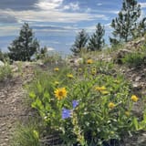 Inspiration Point OHV Route, Utah - 171 Reviews, Map | AllTrails