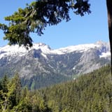 Spider Meadow via Phelps Creek Trail, Washington - 276 Reviews, Map ...