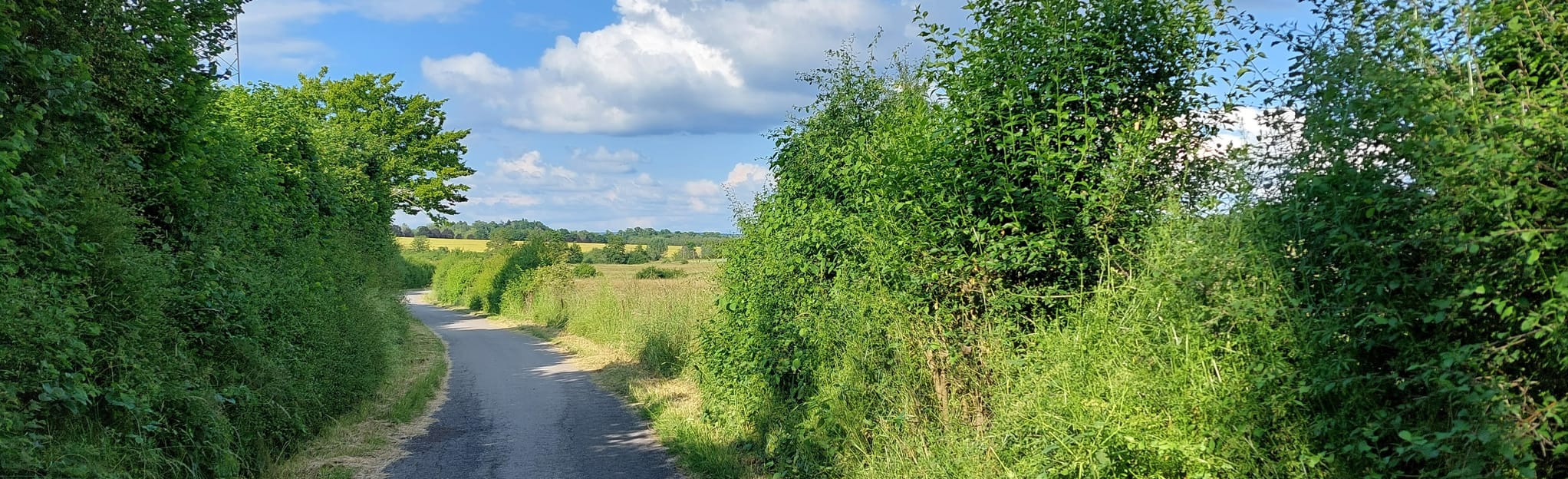 Dippach Wald und Schiene: 6 Reviews, Map - Capellen, Luxembourg | AllTrails