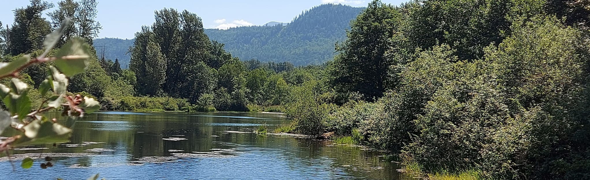 Heron Colony Loop - Centre Trail, British Columbia, Canada - 25 Reviews ...