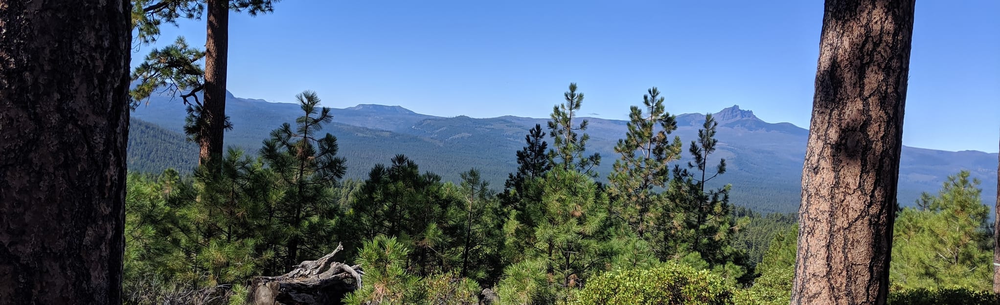 Green Ridge Trail: 66 Reviews, Map - Oregon | AllTrails