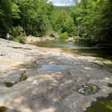 Lost Cove Loop Trail (262), North Carolina - 145 Reviews, Map | AllTrails