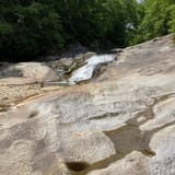 Lost Cove Loop Trail (262), North Carolina - 145 Reviews, Map | AllTrails