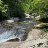 Lost Cove Loop Trail (262), North Carolina - 145 Reviews, Map | AllTrails