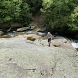 Lost Cove Loop Trail (262), North Carolina - 145 Reviews, Map | AllTrails