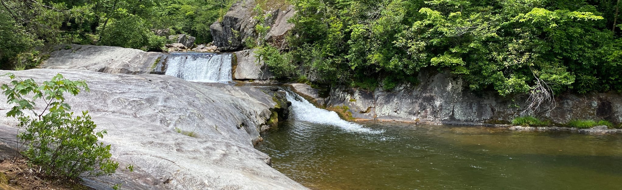 Lost Cove Creek Trail (262), North Carolina - 132 Reviews, Map | AllTrails