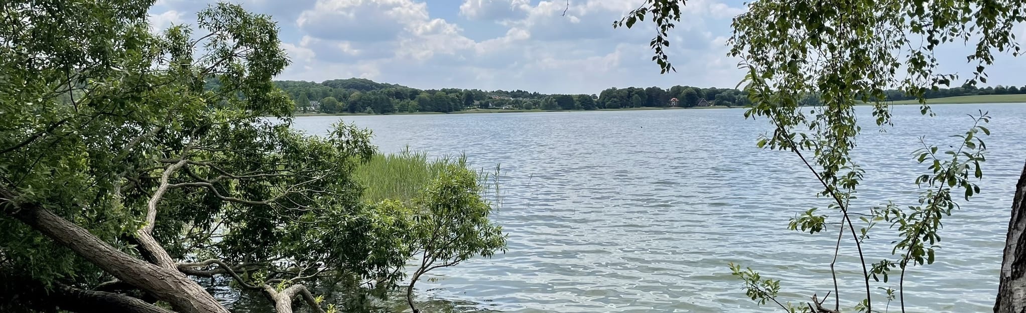 Scharbeutzer Heide and Grosser Poenitzer See, Schleswig-Holstein ...