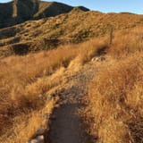 Mormon Rocks Interpretive Trail, California - 218 Reviews, Map | AllTrails
