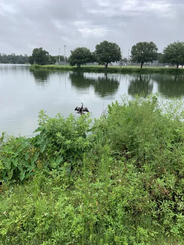 Best Hikes and Trails in Dover Park | AllTrails