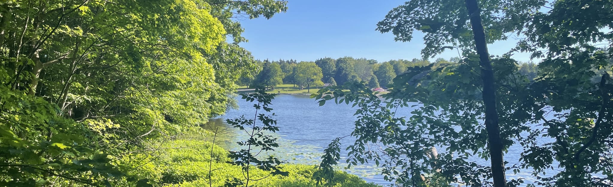 Cold Spot and Hammer Trail Loop , Pennsylvania - 436 Reviews, Map ...