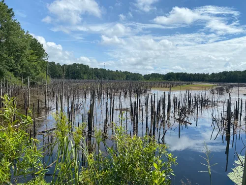 Best lake trails in Conway | AllTrails