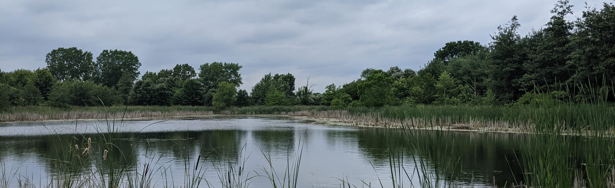 Byers Woods Loop, Ohio - 117 Reviews, Map | AllTrails