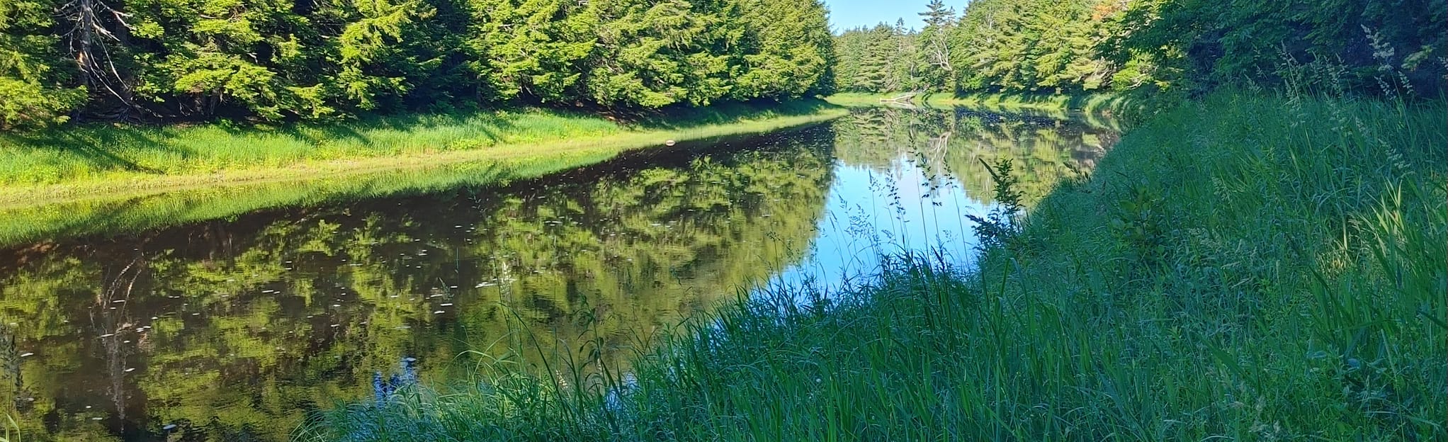 Stewiacke River Park Loop - Nova Scotia, Canada | AllTrails