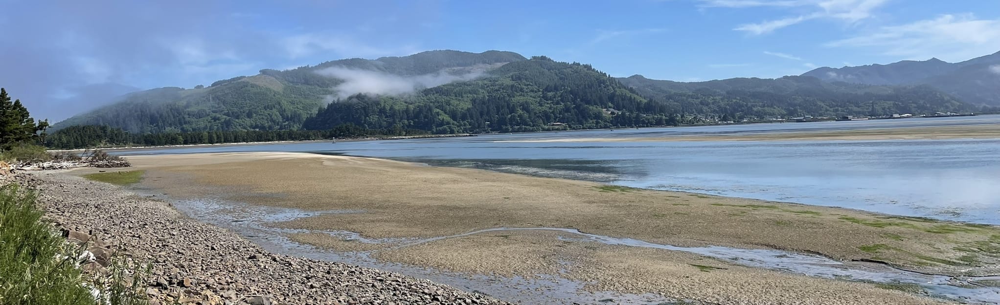 Bayocean Peninsula, Oregon - 626 Reviews, Map | AllTrails