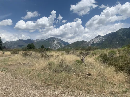 Best 10 Hikes and Trails in Dimple Dell Regional Park | AllTrails