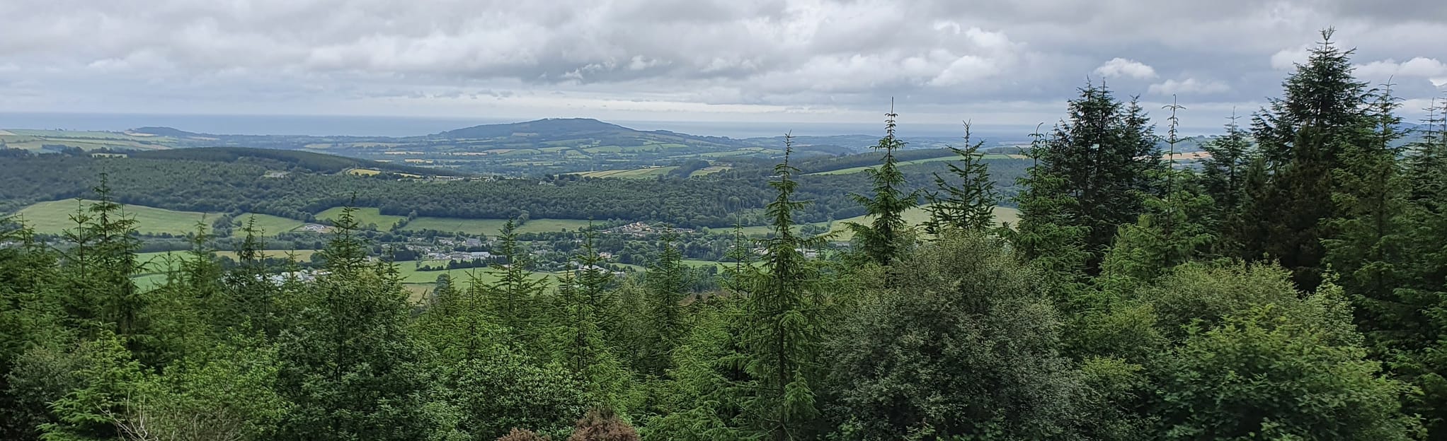 Carrick Mountain, County Wicklow, Ireland - 12 Reviews, Map | AllTrails