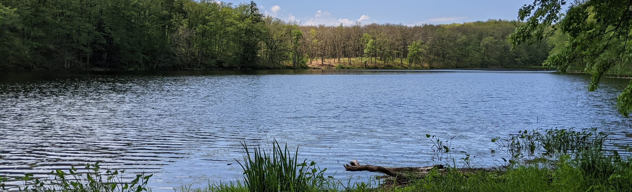Leaf Lake and Condon Lake via North Country Trail, Michigan - 154 ...