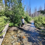 Myrtle Lake via Entiat River and Cow Creek Trail, Washington - 55 ...